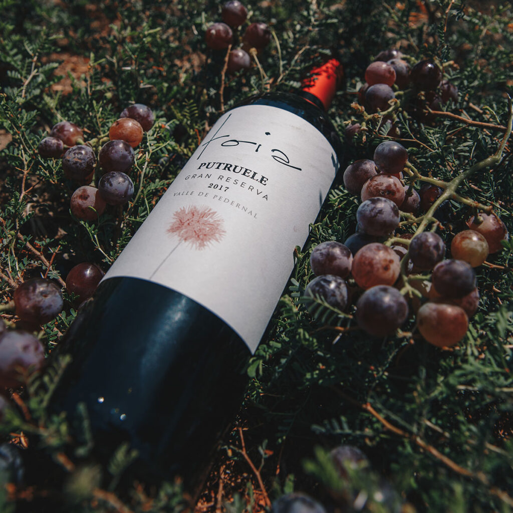 TOIA Gran Reserva (6 unidades) – Bodega Putruele